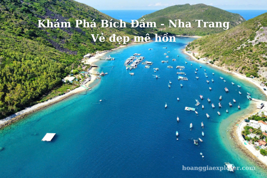 Đảo Bích Đầm Nha Trang – Vẻ Đẹp Bình Dị Mê Hồn